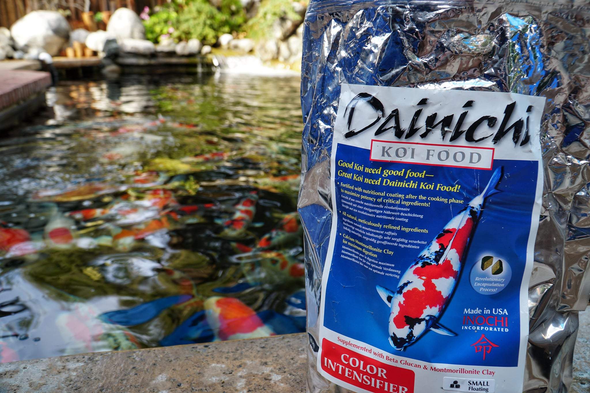 Toyoma Koi – Toyoma Koi International